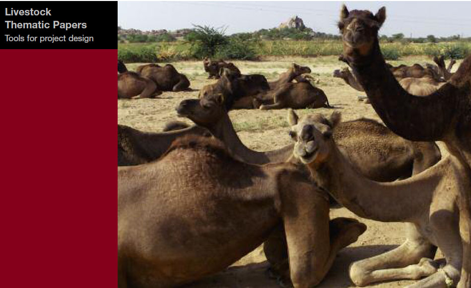 IFAD Releases Paper on Livestock and Climate Change | News | SDG ...