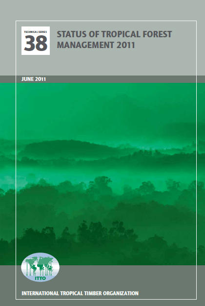 ITTO Releases Report on Tropical Forest Management | News | SDG ...