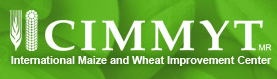 CIMMYT Introduces Climate-Resilient Crops in Ethiopia and China – SDG ...