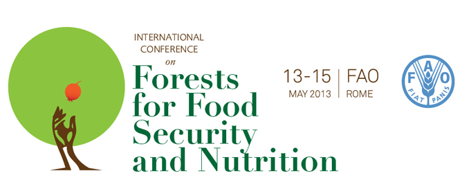 FAO Conference Examines Role of Forests in Food Security – SDG ...
