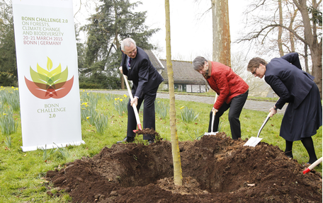 Bonn Challenge Welcomes Restoration Pledges | News | SDG Knowledge Hub ...
