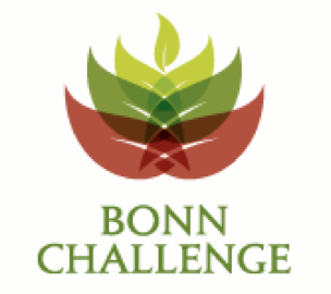 Bonn Challenge Celebrates 100 Million Hectares Milestone at WCC | News ...