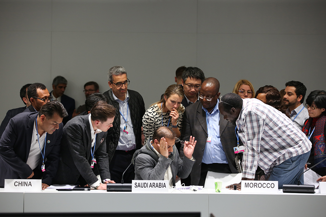 IISD Report Offers Takeaways from Environmental Governance in 2025 ...