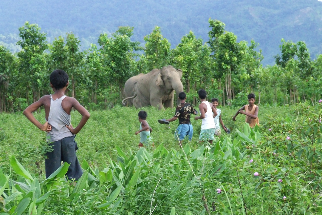 Stakeholder Engagement is Crucial for Successful Species Recovery – SDG ...
