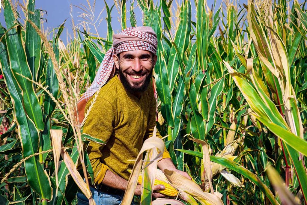 Publication – SDG Knowledge Hub