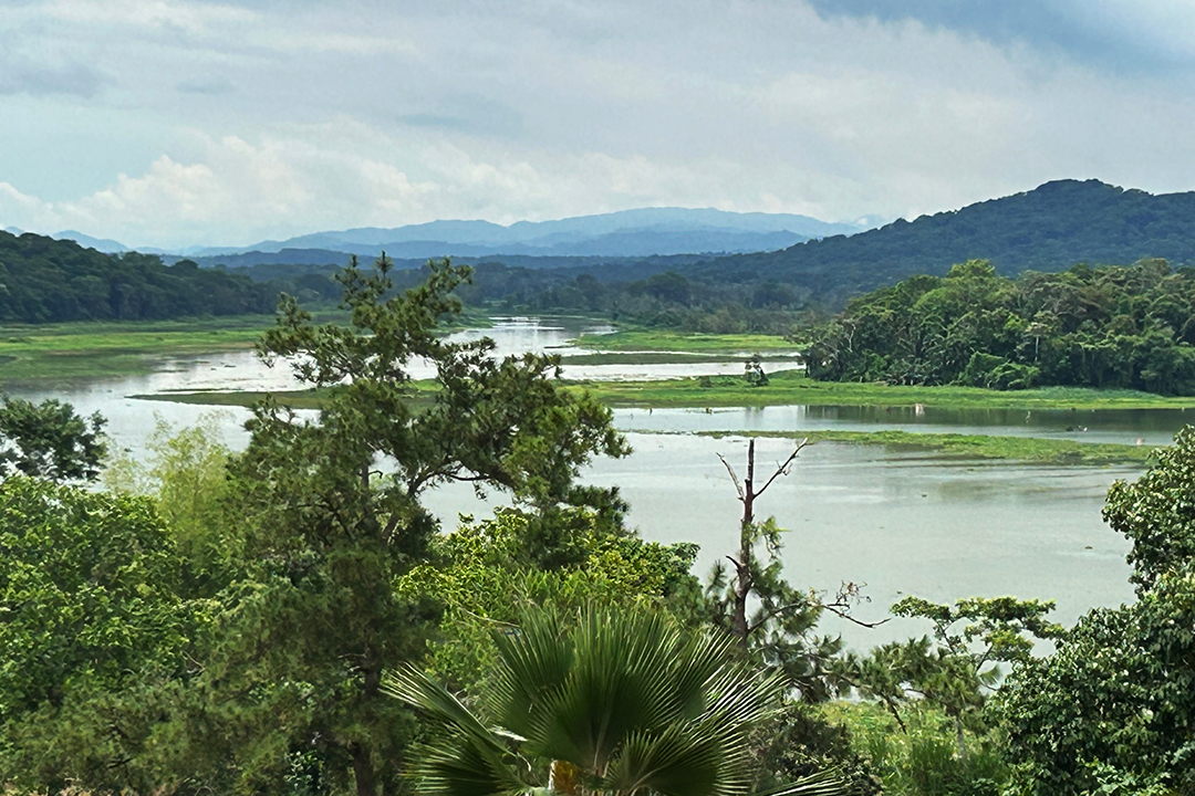 UN Report Calls for Global Water Cooperation to Preserve Peace – SDG ...