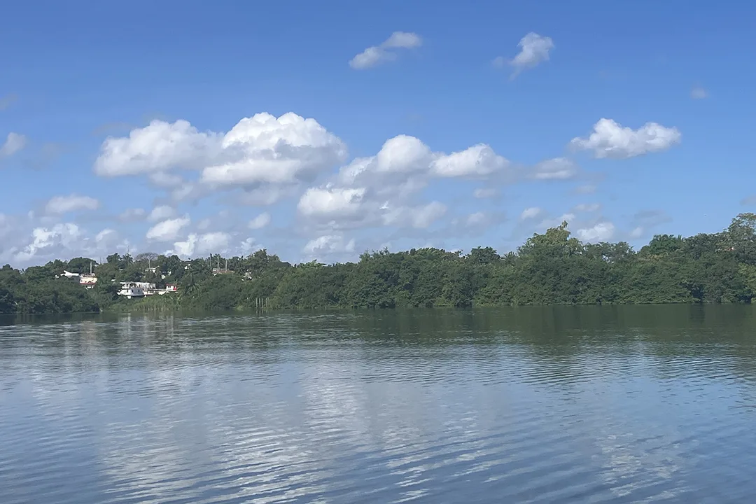 World Lake Day 2025 – SDG Knowledge Hub