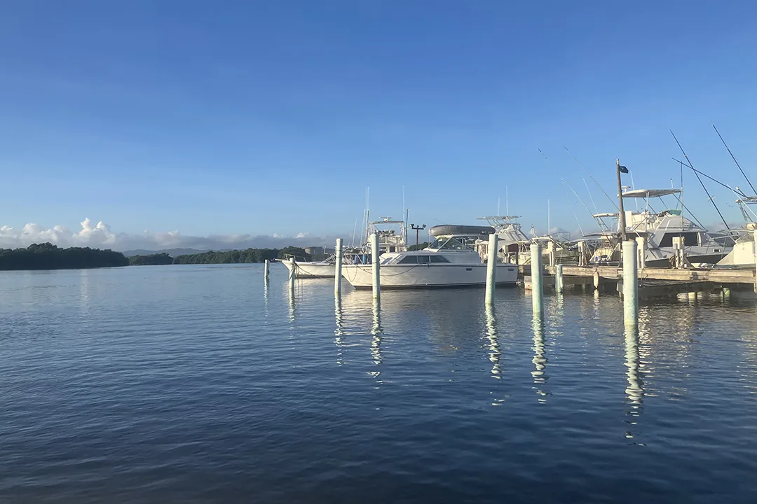42nd UN-Water Meeting – SDG Knowledge Hub