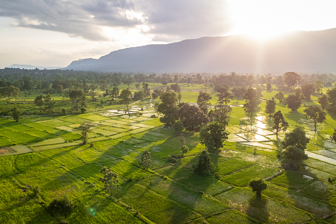 FAO, Türkiye Propose Initiative for Action at Food-Water-Climate Nexus ...